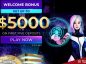 NetGame Entertainment - Topboss Group 🎰